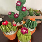 These Adorable Crochet Cacti Are Perfect For The Person Who's Useless ...