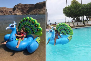 Glide Across The Pool On This Peacock Float Like The Queen You Are