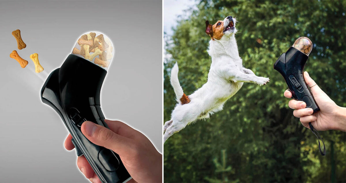 This Pet Snack Launcher Gets Your Pup Exercising For Their Snacks