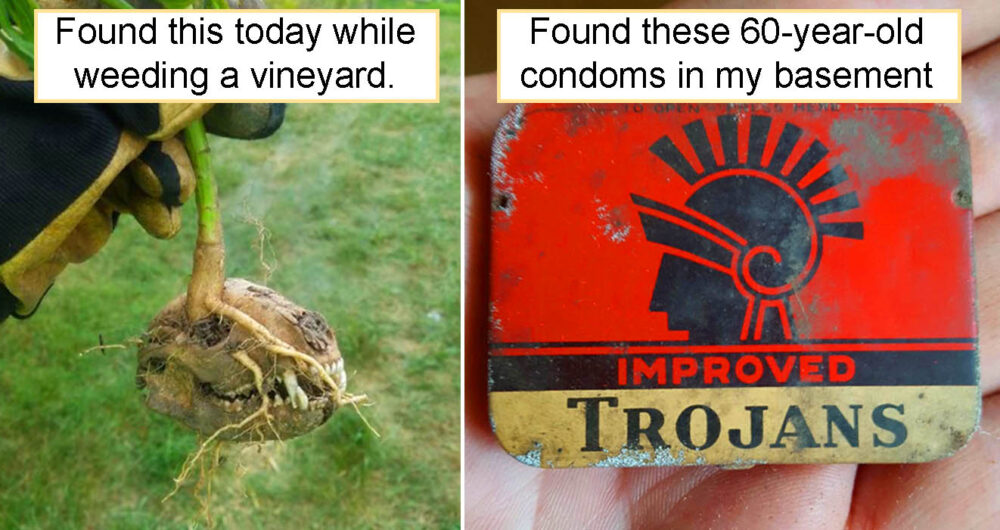People Share The Strange Things They Found In Unexpected Places