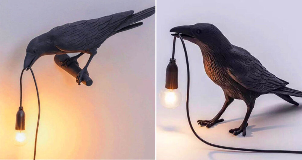 Woman Starts Feeding Family Of Crows And Then They Start Leaving Her Gifts