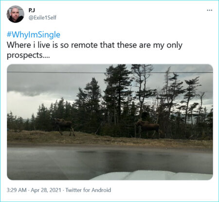 Jimmy Fallon Asked People To Explain Why They're Single - The Replies ...