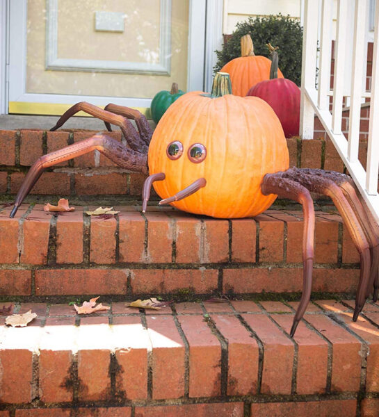 You Can Get A Kit That Turns Your Pumpkin Into A Huge Spider