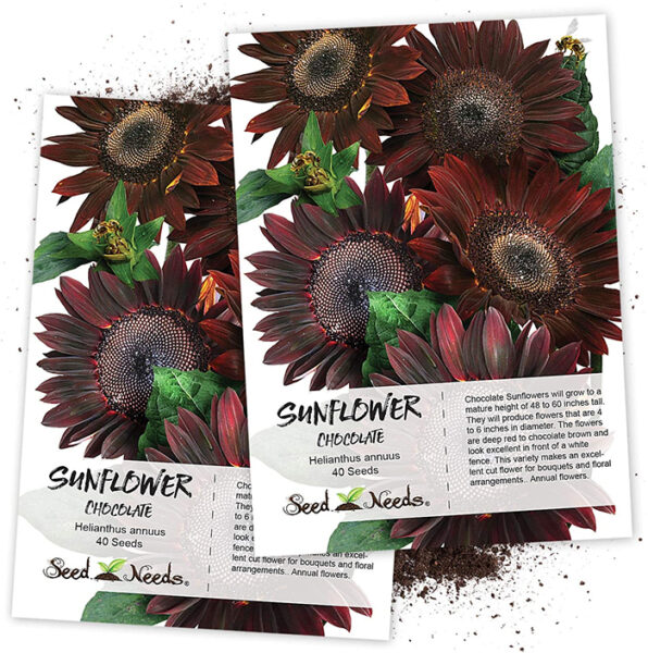 These Seeds Grow Chocolate Sunflowers, So You Can Add A 'Sweet' Touch ...
