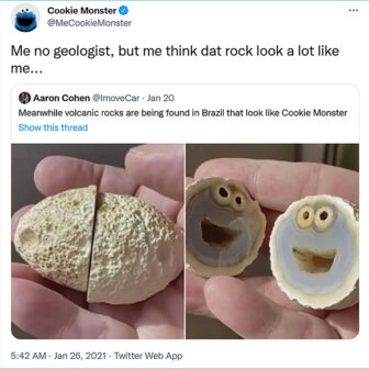 Geologists Find Agate With Uncanny Resemblance To The Cookie Monster Inside