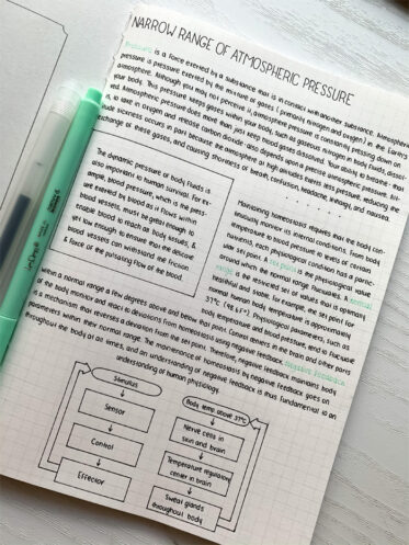 People Showcasing Their Beautiful Handwriting That Will Please Your ...