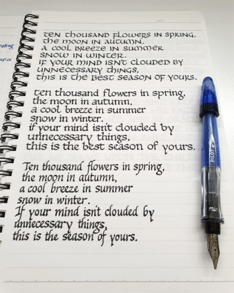 People Showcasing Their Beautiful Handwriting That Will Please Your ...