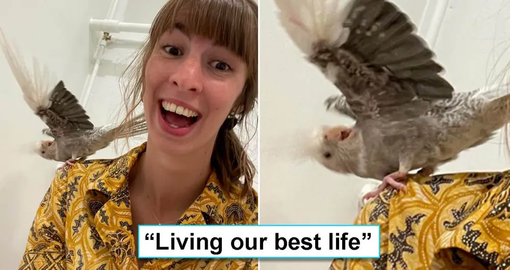 Pet Parents Share Adorable Moments With Their Besties