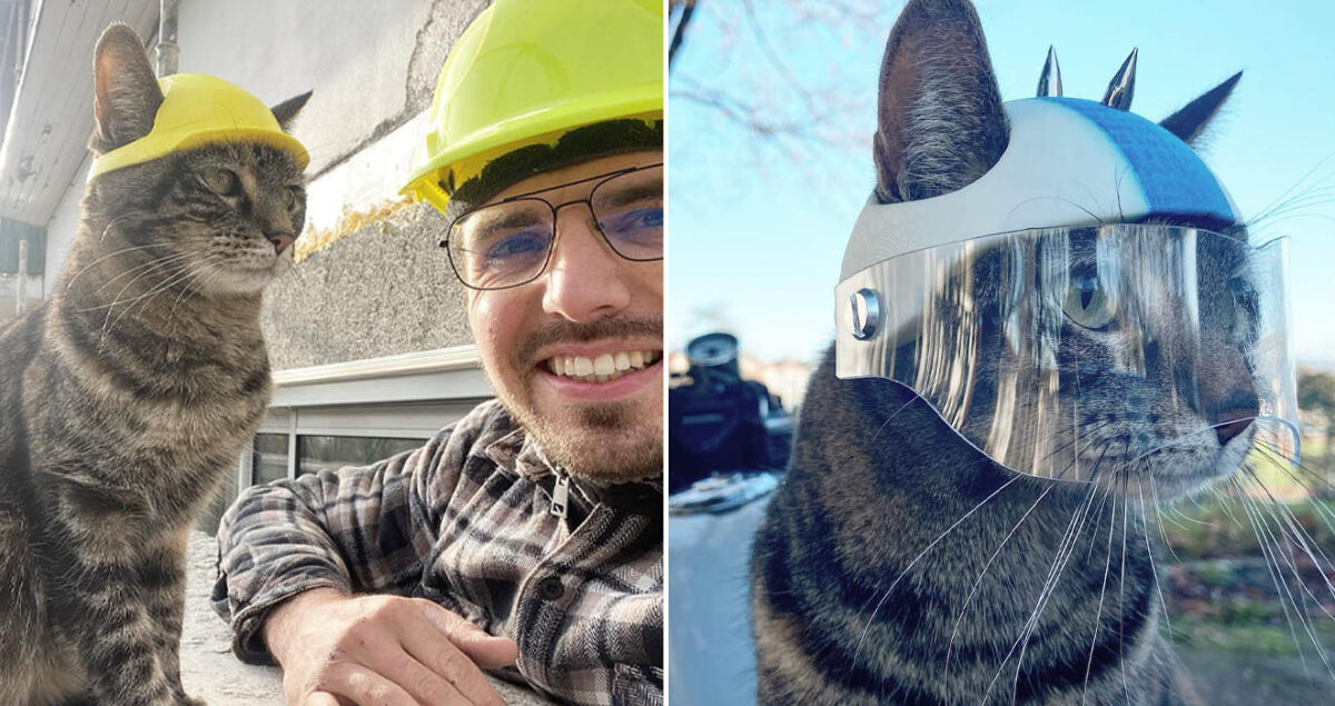 Man Creates Little 3D-Printed Helmets For His Cat
