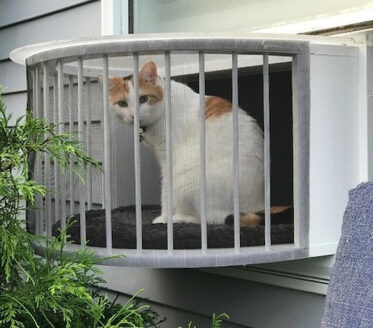 This Cat Window Lets Your Indoor Cats Relax In The Sunshine