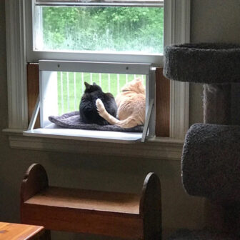 This Cat Window Lets Your Indoor Cats Relax In The Sunshine