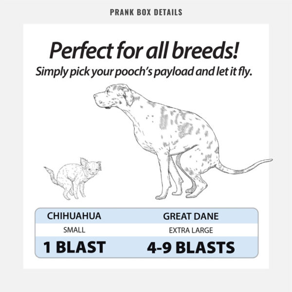 The "Float-A-Poo" Dog Waste Disposal System Sends Your Dog's Poop Into ...