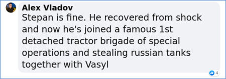 Insta-Famous Cat Stepan Flees Home In Ukraine With Family To France