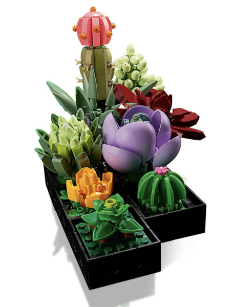Beautiful LEGO Orchid And Succulents Sets Designed To Help Adults With ...