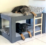 A Dog Bunk Bed Is A Stylish Way To Save Space In Smaller Homes