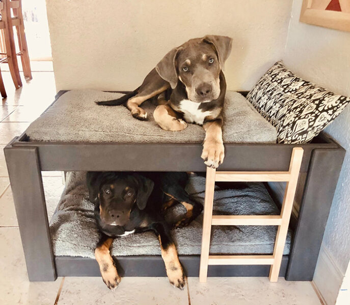 A Dog Bunk Bed Is A Stylish Way To Save Space In Smaller Homes