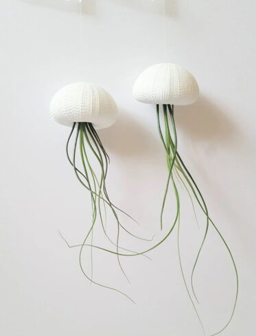 These Planters Look Like Jellyfish By Holding Your Air Plants Upside-Down