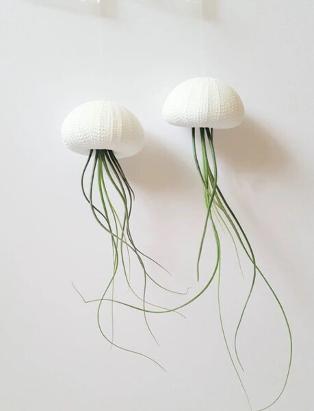 These Planters Look Like Jellyfish By Holding Your Air Plants Upside-Down