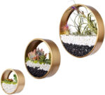 Wall Mounted Terrariums Are A Stylish Way To Have An Indoor Garden