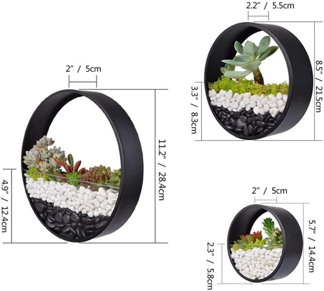 Wall Mounted Terrariums Are A Stylish Way To Have An Indoor Garden
