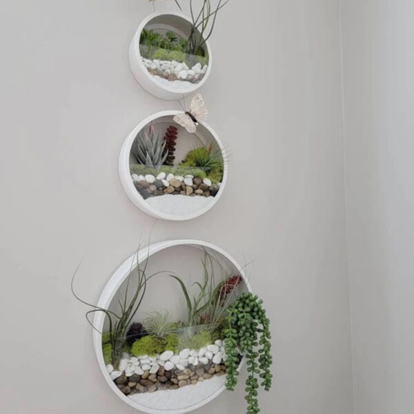 Wall Mounted Terrariums Are A Stylish Way To Have An Indoor Garden